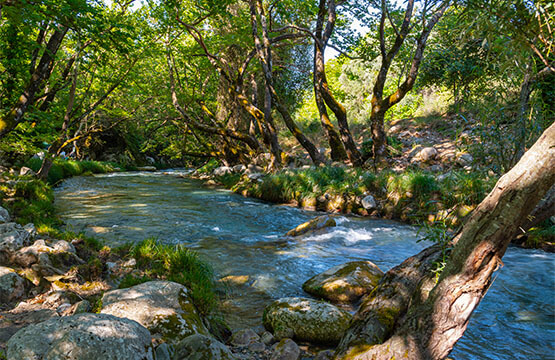 Explore Mainalo Trail