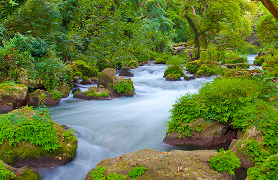 Kalama Narrows