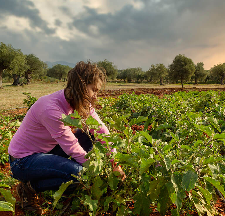 Αγροτουρισμός